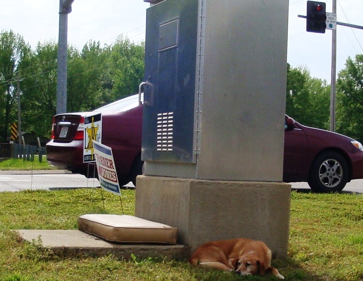 Blog Thoughts and More by Kathie Kerr