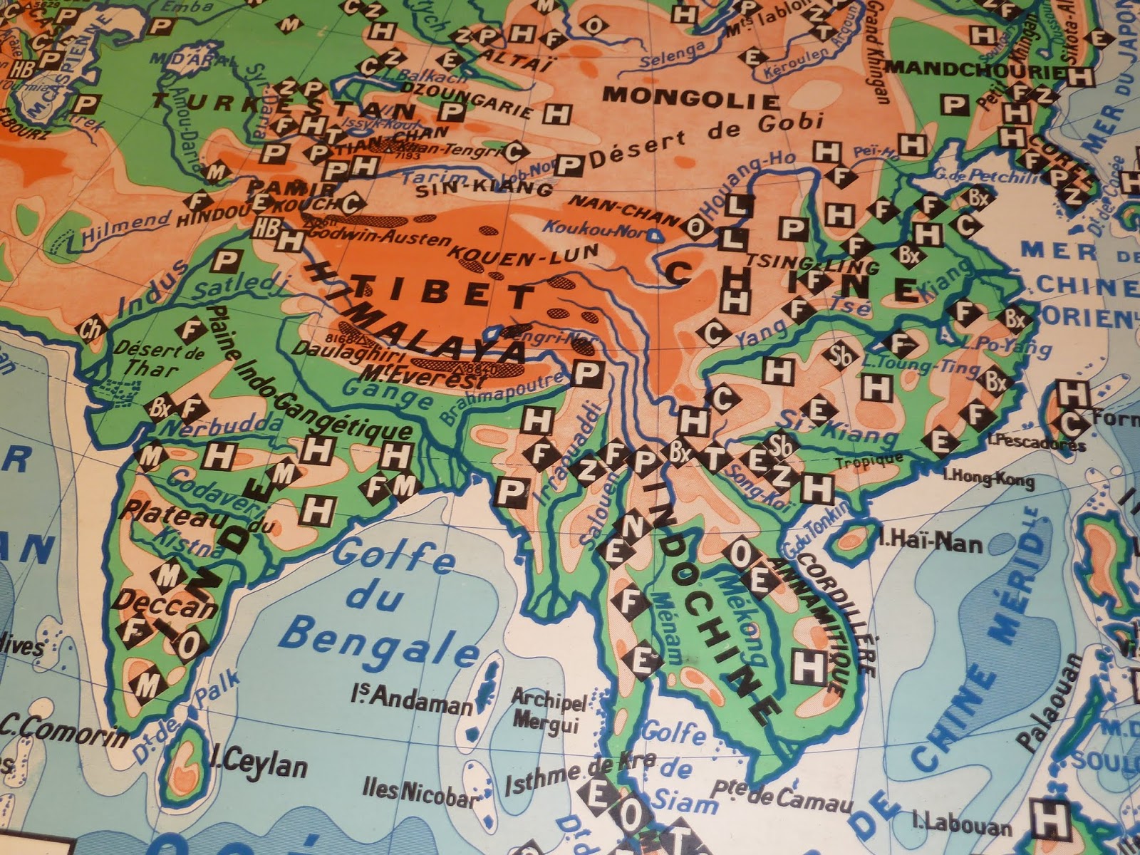 Vintage French Posters Botany Animals Anatomy, old World Maps from ...