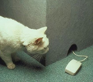 Funny Image Collection: Very Creative and Funny Computer Mouse Images!