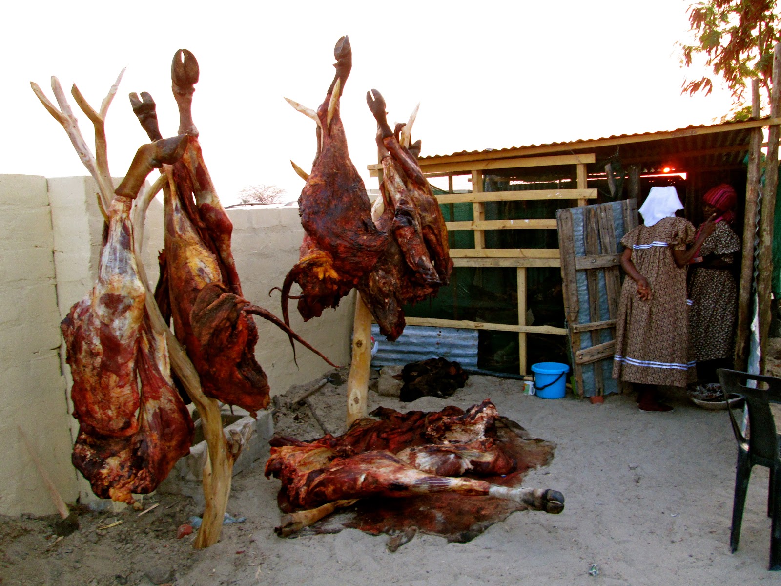 A Namibian Adventure: August Holiday