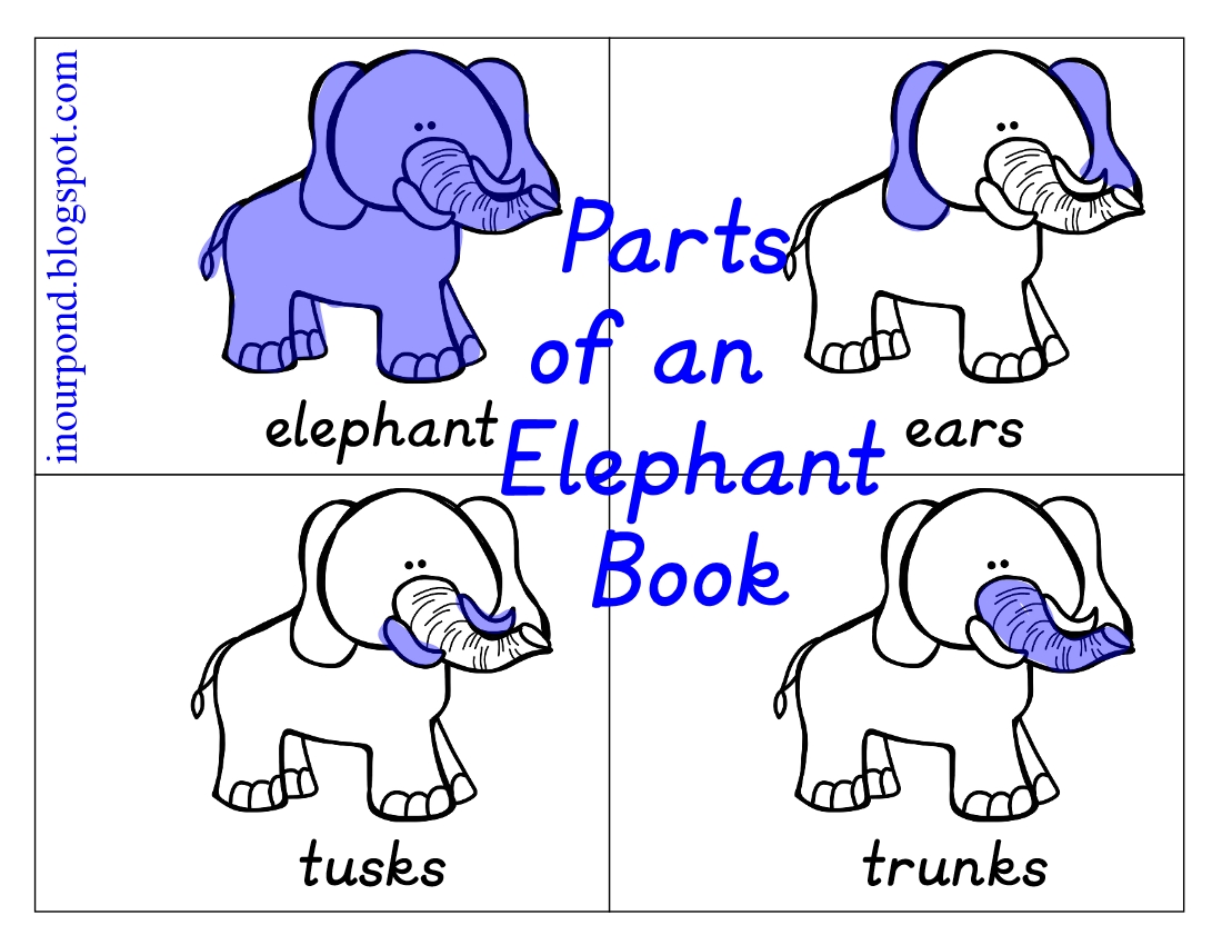 Interactive Science Notebook for Kindergartners