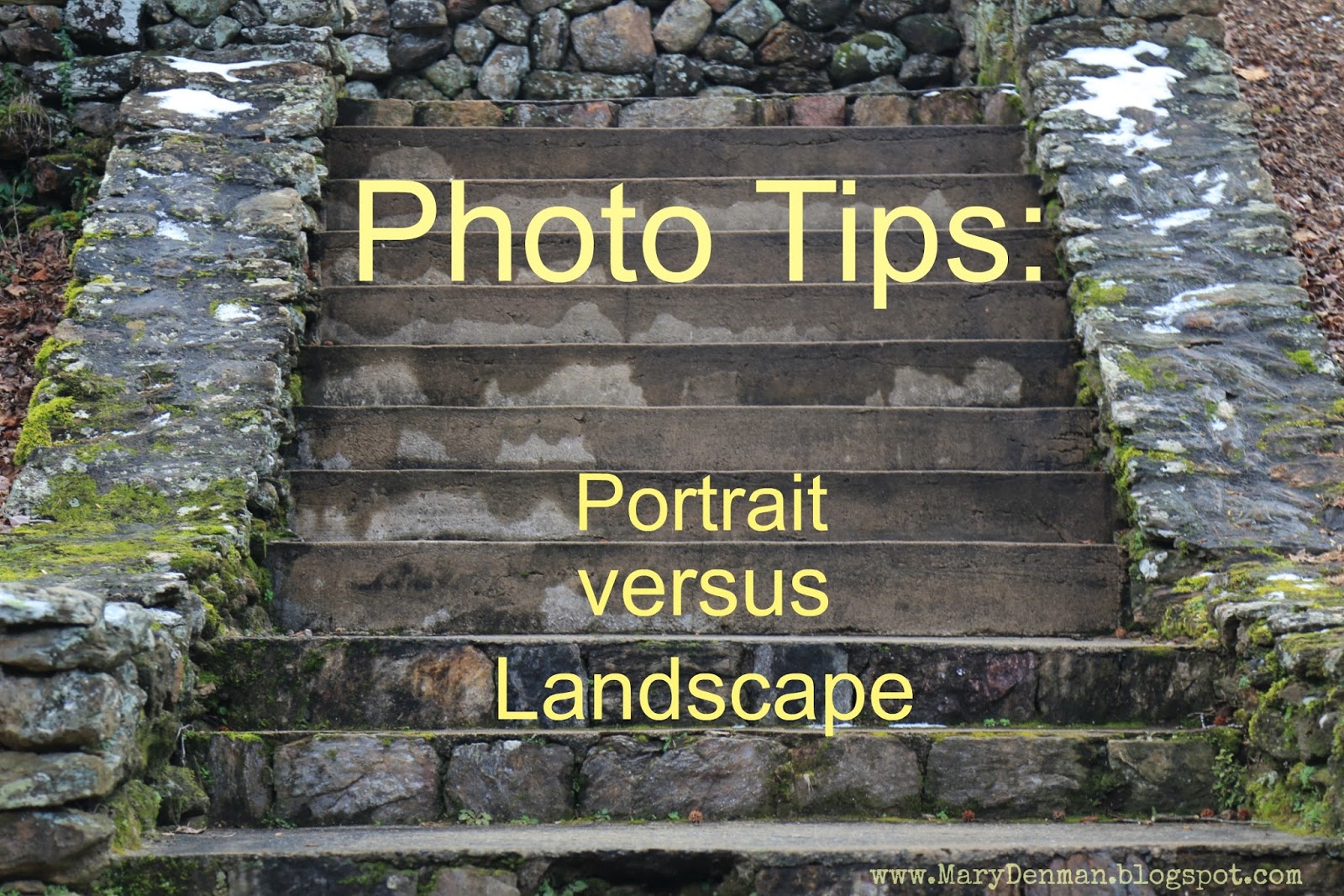 Mary Denman: Photo Tip Friday: Portrait versus Landscape, Part 1