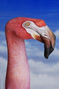 Best body paint pictures: Body paint animals - part 01