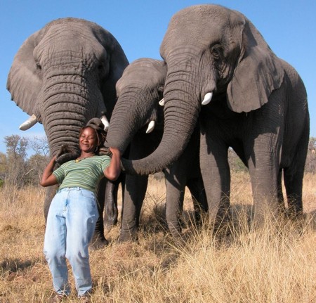 7 Hewan Terbesar dari Jenisnya | SosBoks