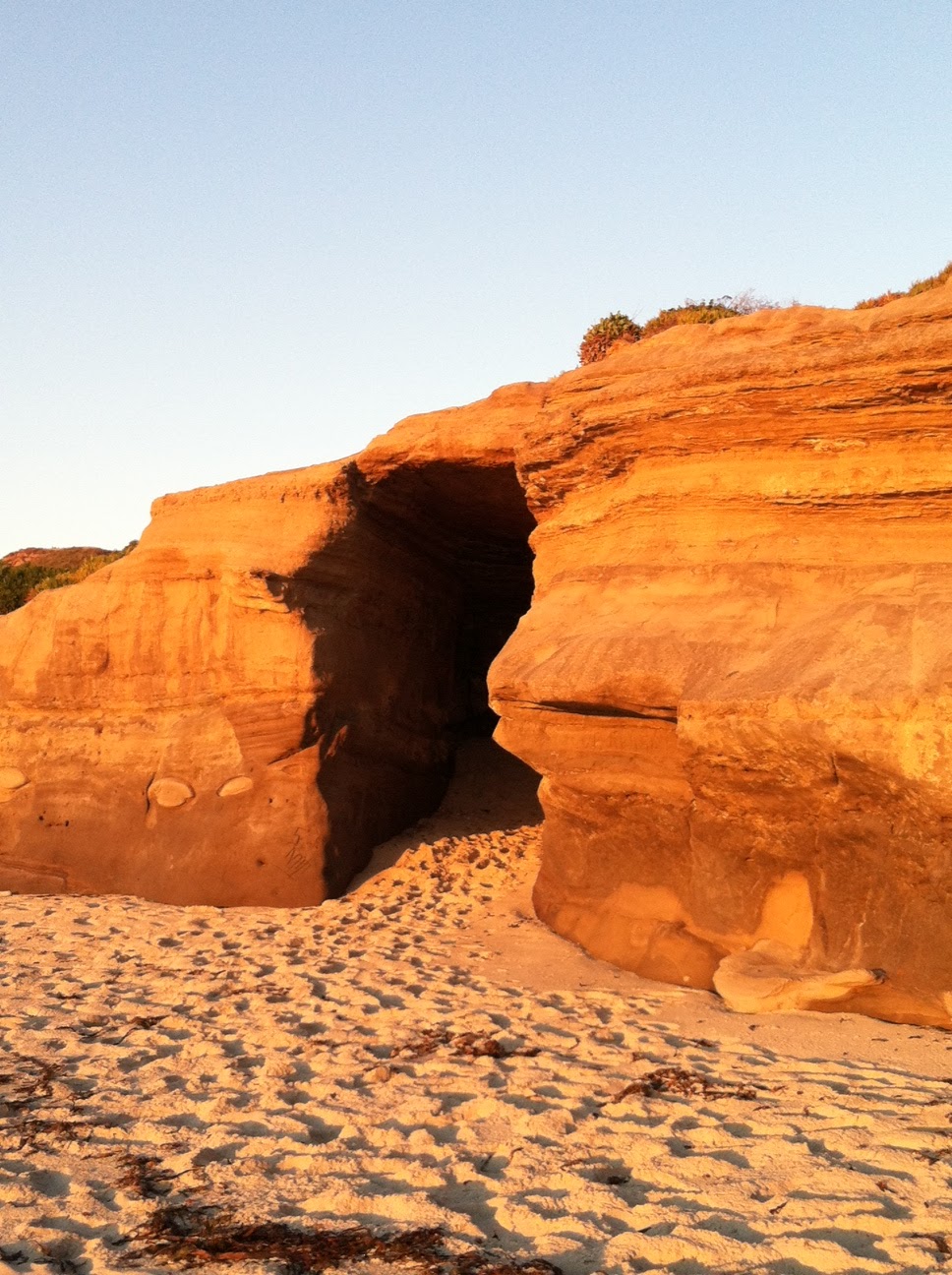 Penny Wilkes: Landscape Illusion