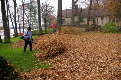 Cleaning Fall Leaves Made Simpler - Best Manual Lawn Aerator