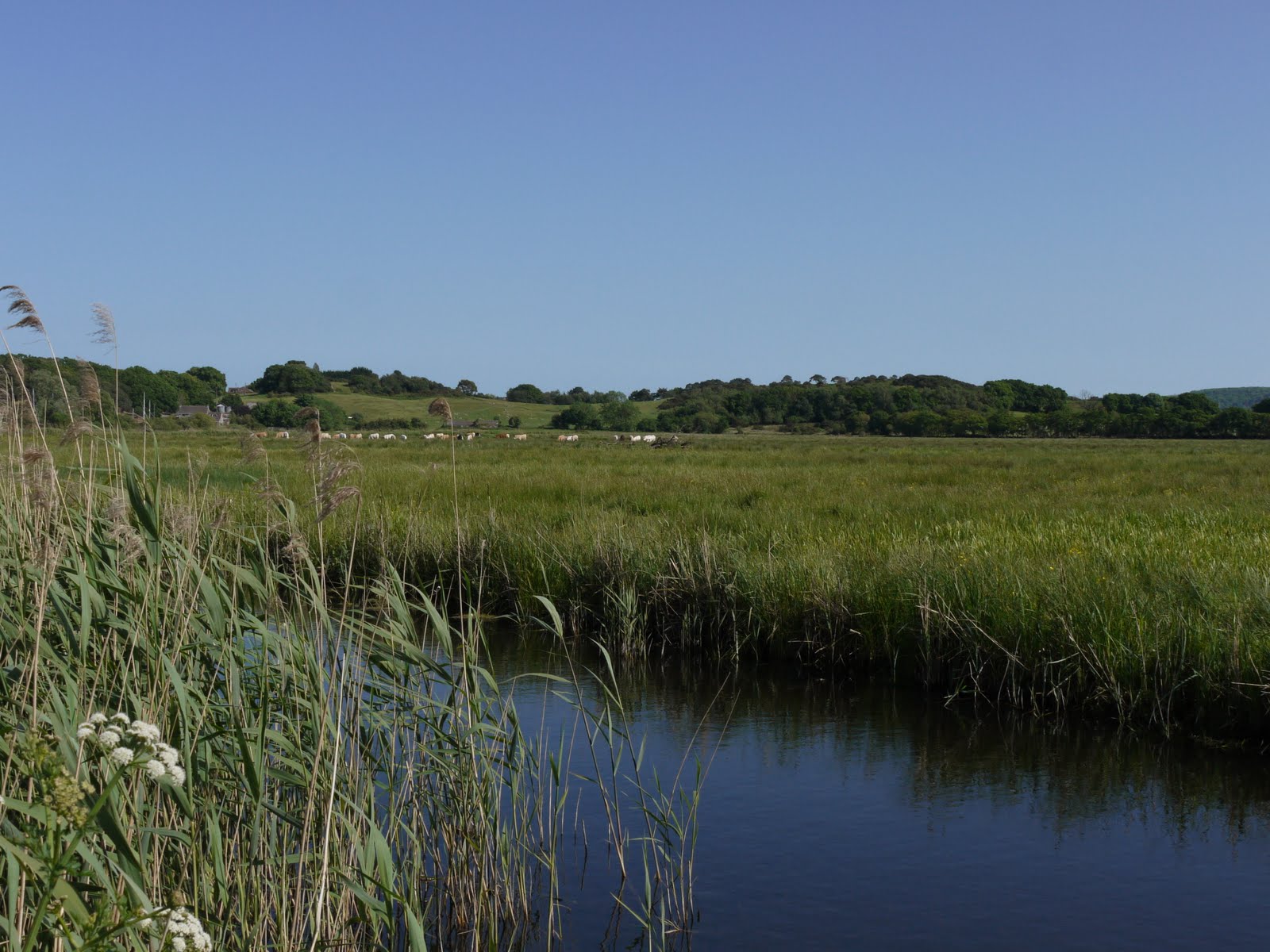 Walking in the country: Wareham and Stoborough