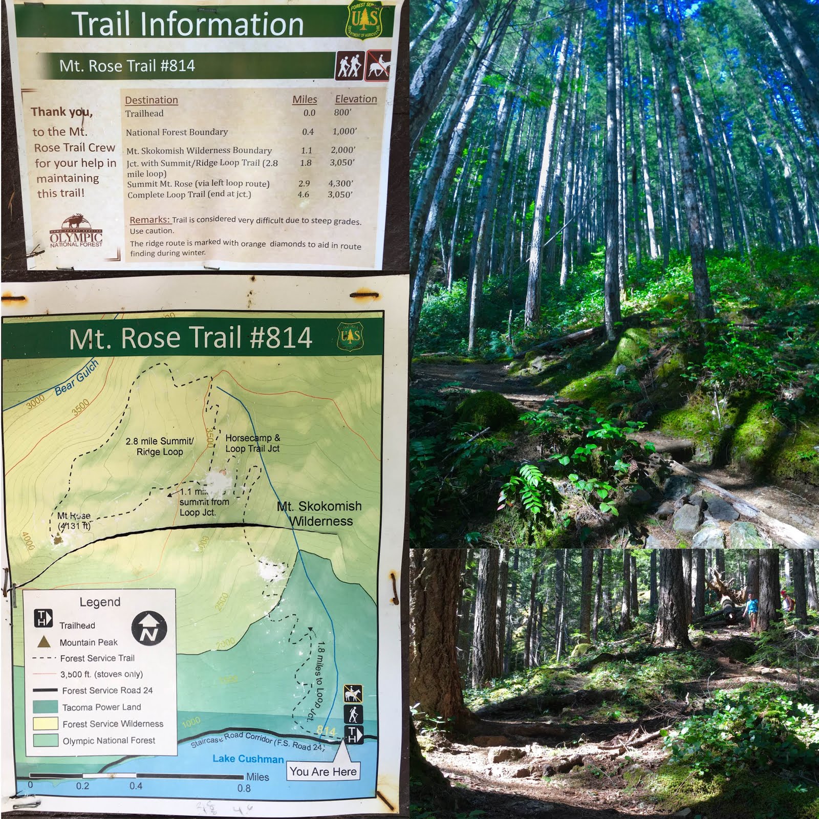 Life is a mountain.: Mt. Rose - Olympic Peninsula, WA