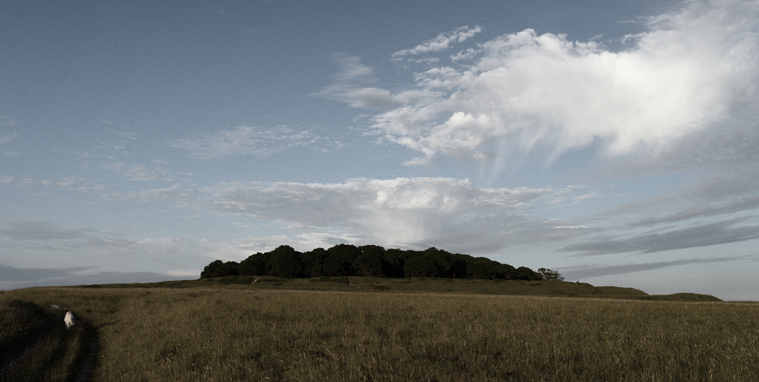 IF YOU GO DOWN TO THE WOODS TODAY....: Badbury Rings