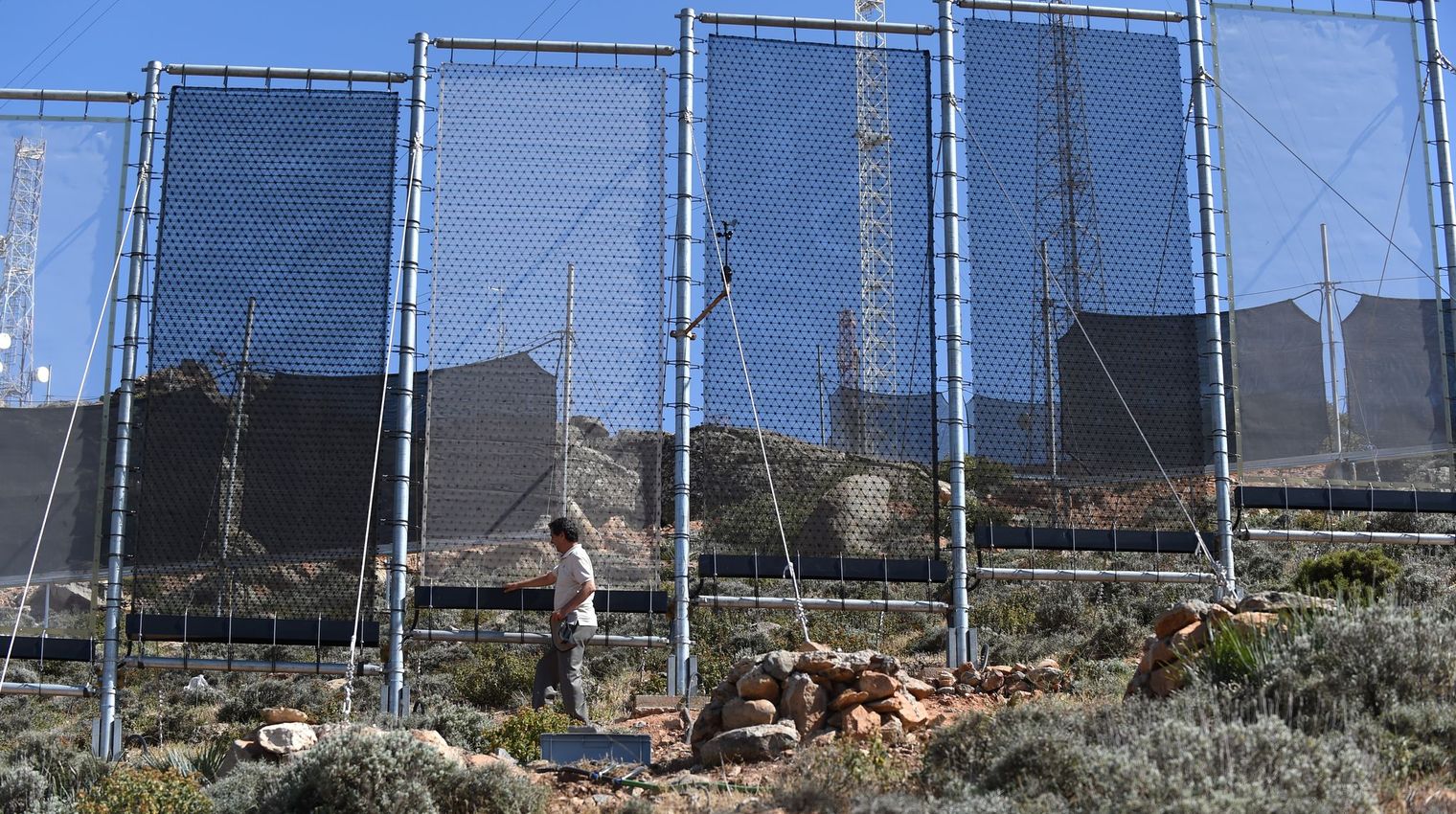 THE VIEW FROM FEZ: Harvesting Fog in Morocco