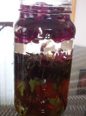 The Essential Herbal Blog: Elixir with super powers