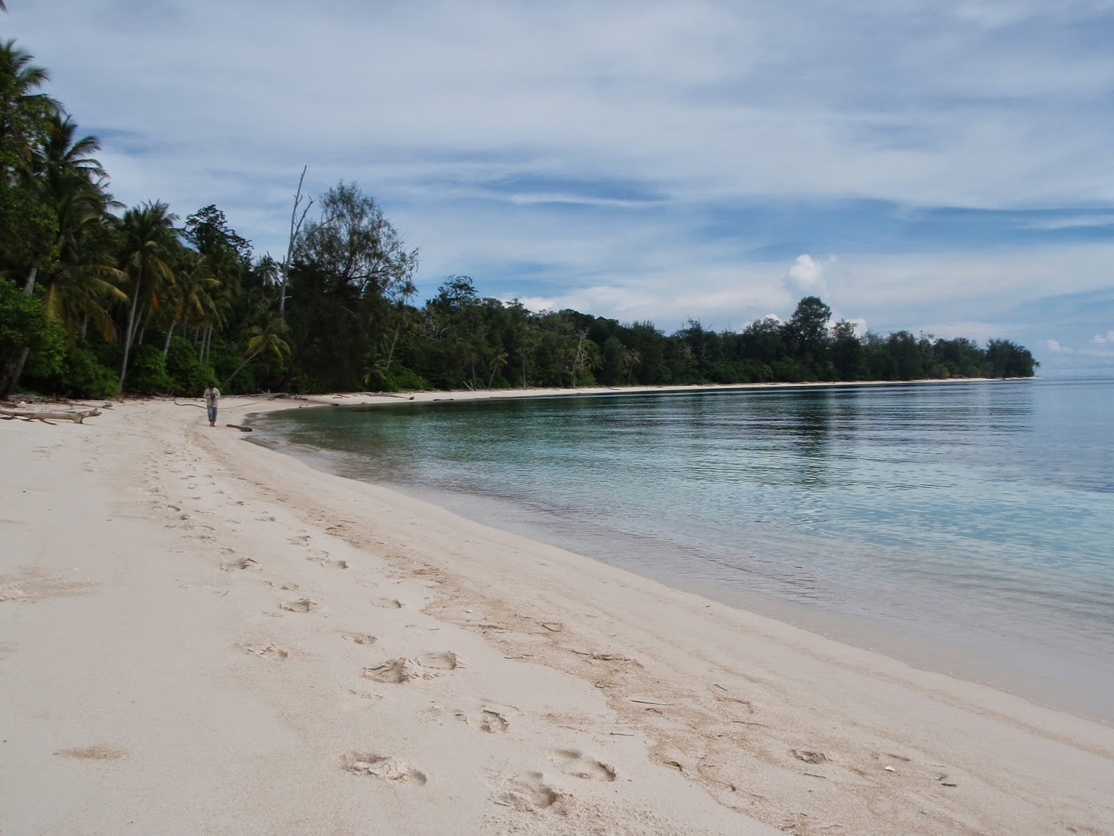 Festival Fagogoru (TIFA) 2014