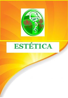 MINHAS GRANDES PAIXÕES!!!: SÍMBOLO DA ESTÉTICA DO BRASIL