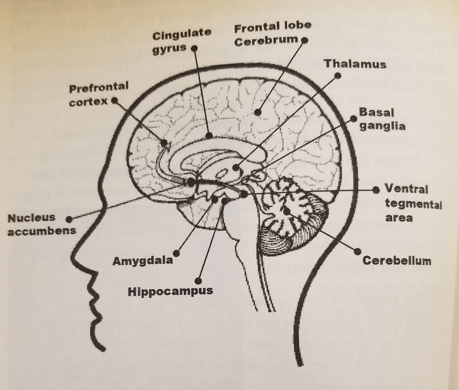 Ten Common Thinking Errors
