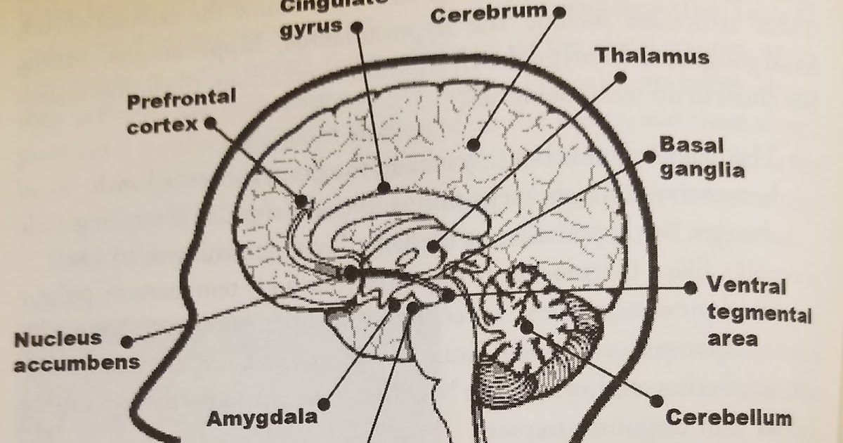 Ten Common Thinking Errors