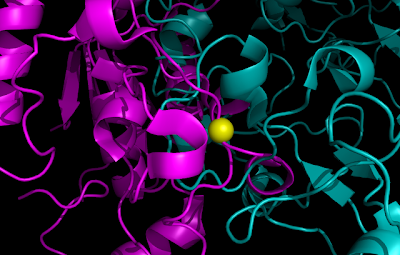 Cwc2 Structure Decoded: RNA binding Domains