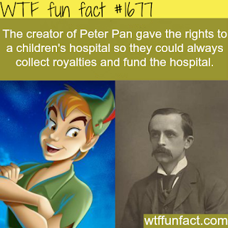 Brianna: On A Budget: "WTF" Fun Facts!