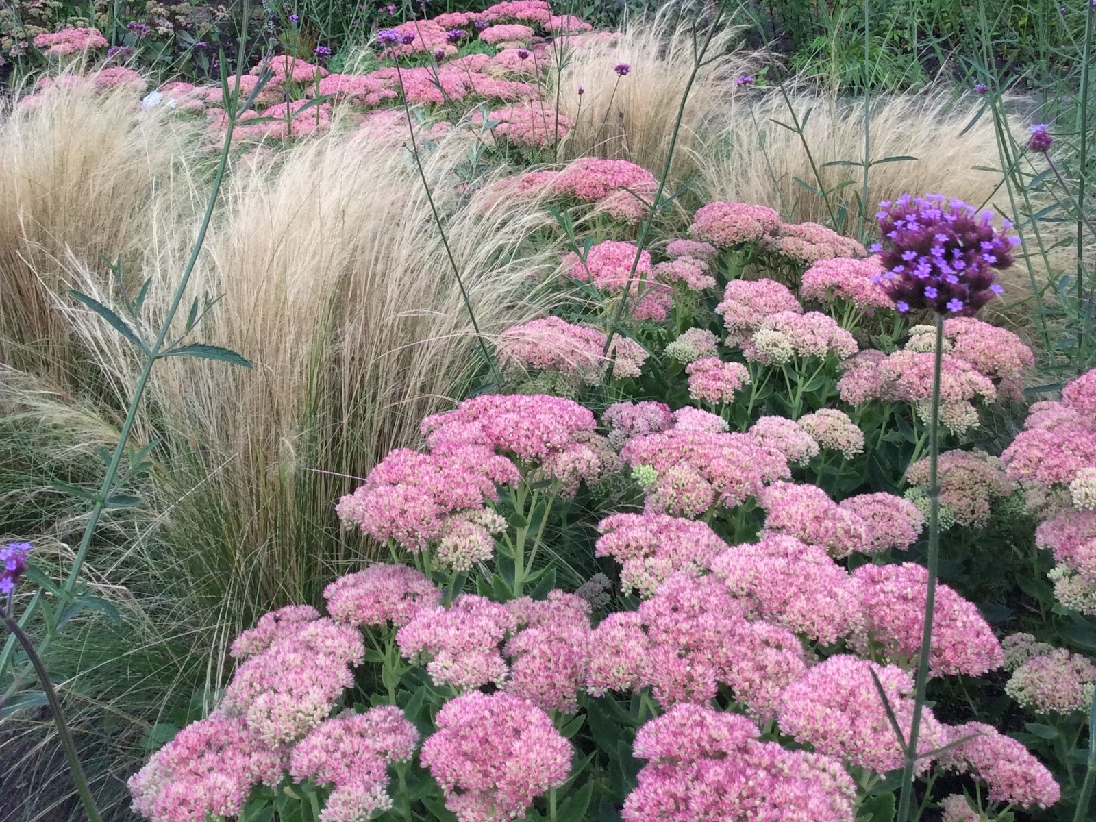 10 tips voor een prachtige border