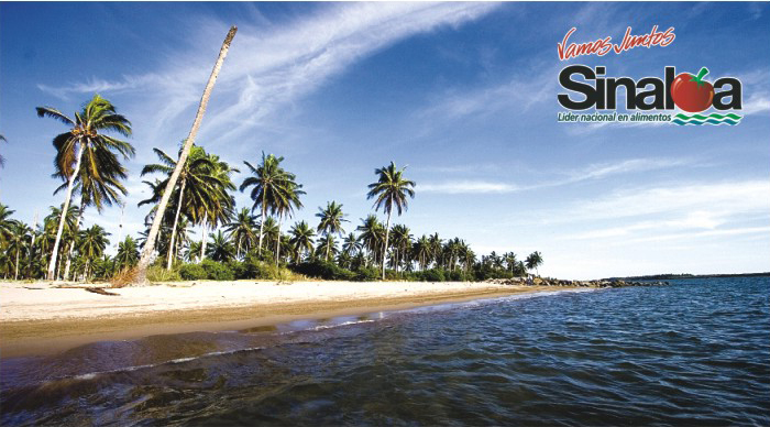 Ven a Sinaloa: Descubre la belleza de Teacapán