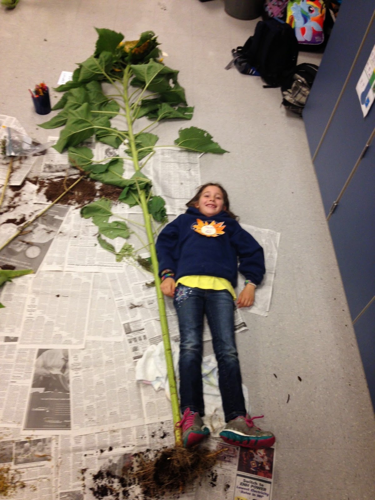 2H Class Blog!: Sunflower Day!