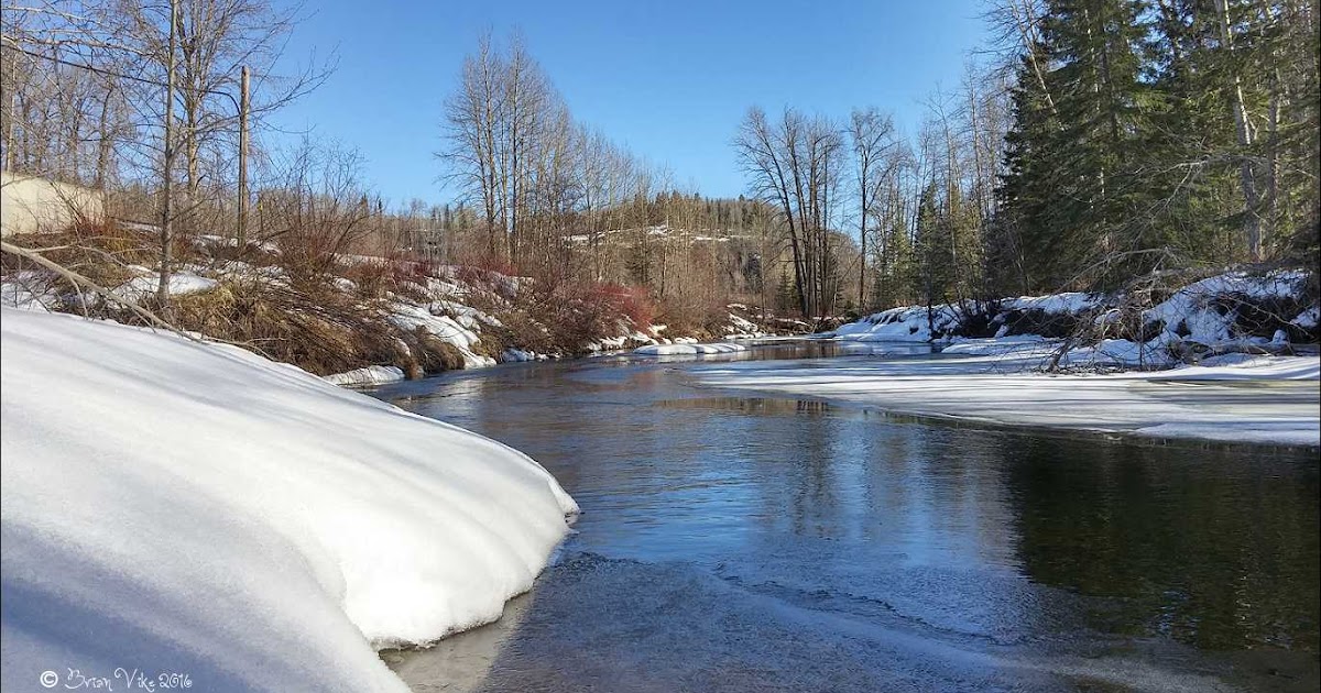 Northern Interior British Columbia: Spring Is In The Air Thawing ...