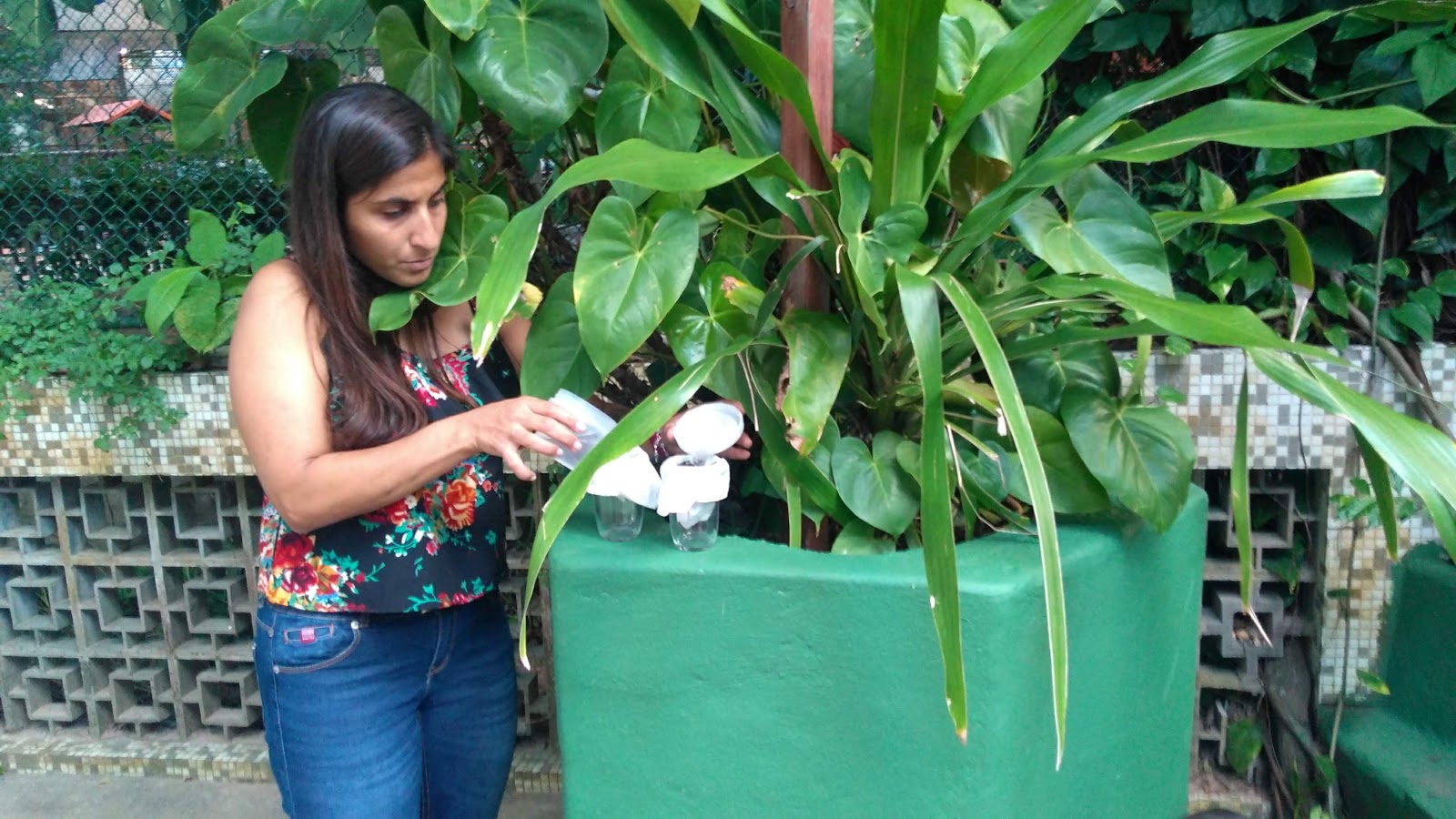 Professora Fernanda: Penetração da água em diferentes tipos de solo ...