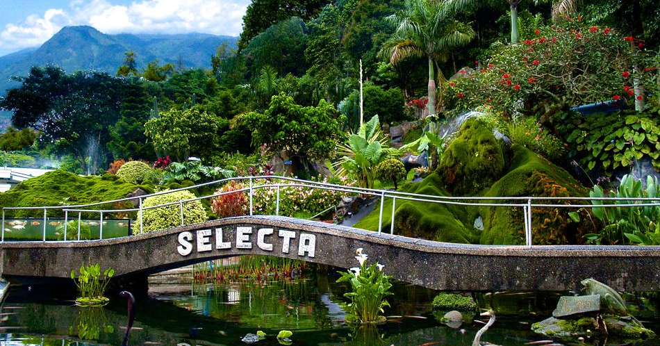 Selecta Batu | HELLO!