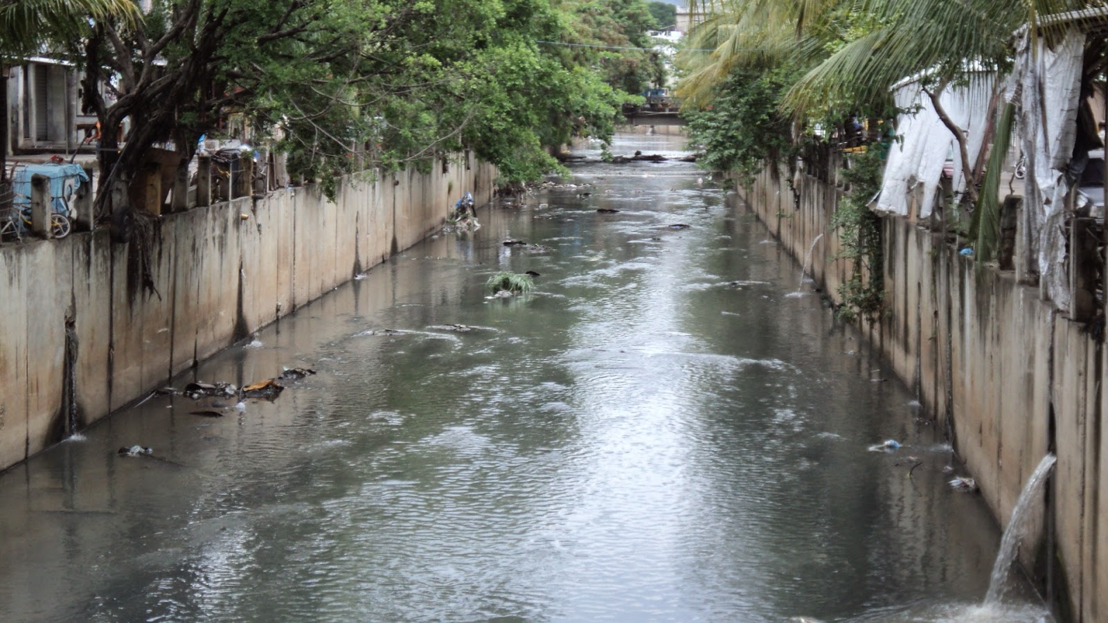 Fotos ~ Jacarezinho - RJ