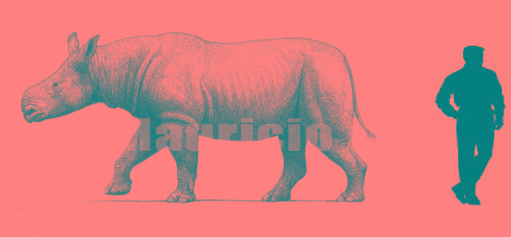 Los animales en la prehistoria: Animales prehistóricos con la letra A