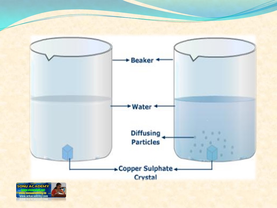 SONU ACADEMY: DIFFUSION-TEXT