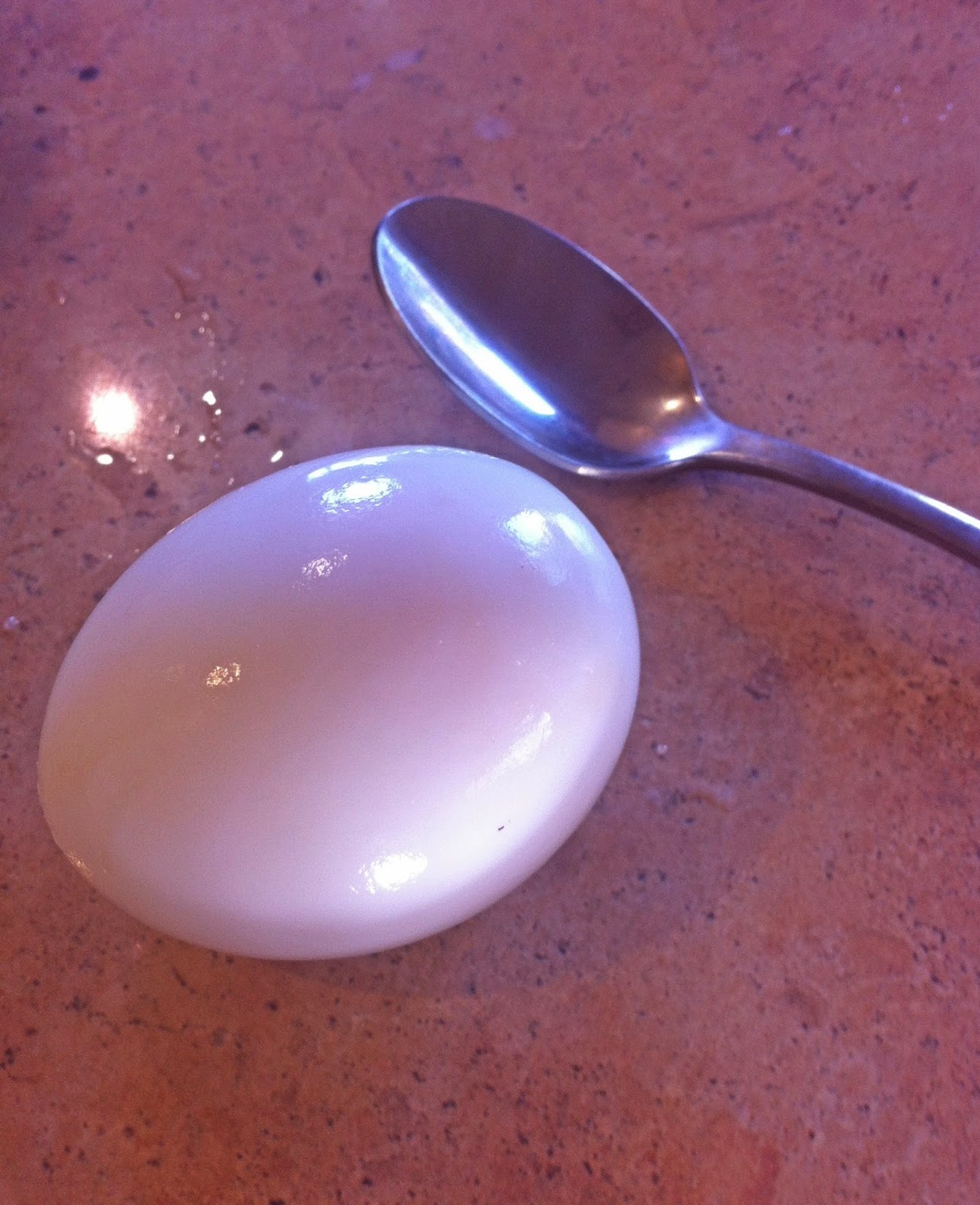 The Bush Gourmand: Eggs Poached in the Shell
