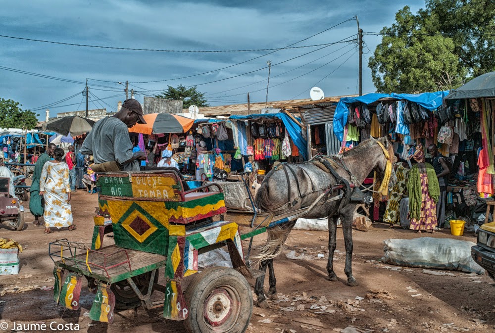 PARAULES ABSENTS: DIA DE MERCADO EN TAMBA, SENEGAL