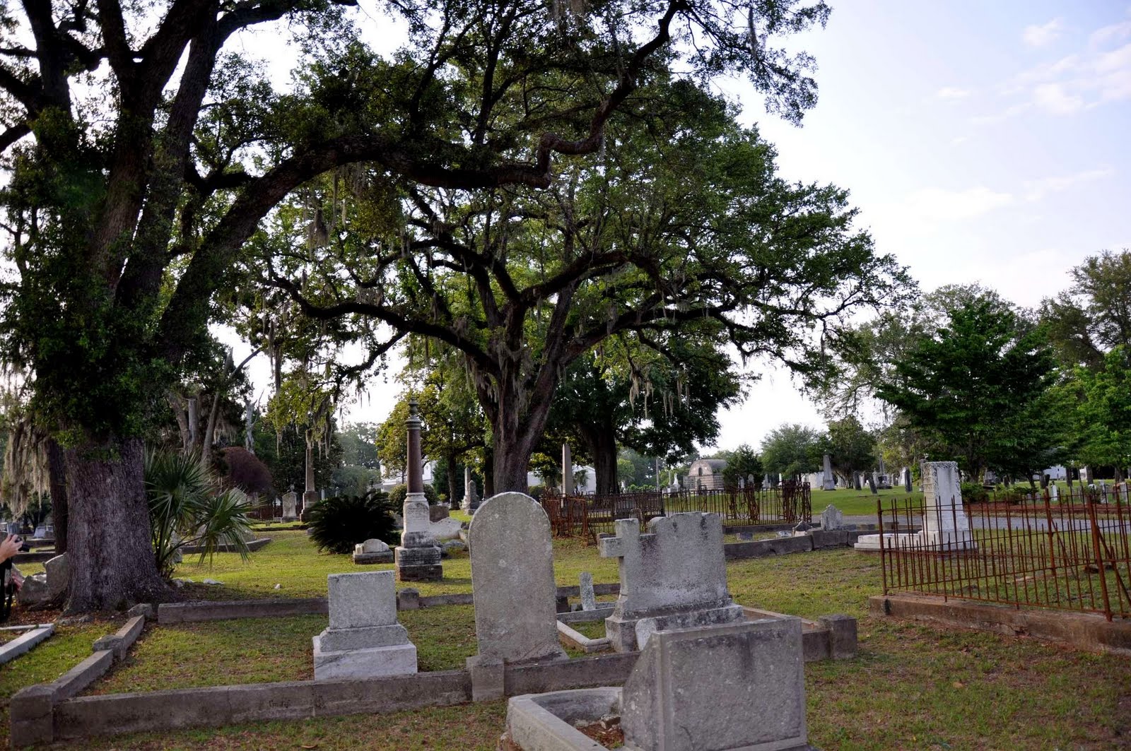 My View of Charleston and the Lowcountry: Magnolia Cemetery in Color