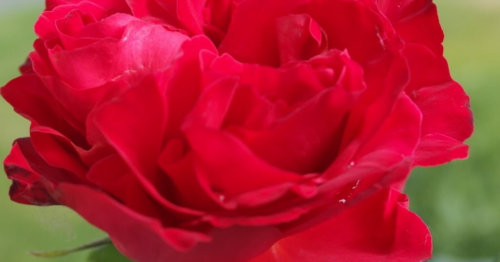 Silke schreibt : DU bist Poesie - meine Vorstellung vom Glück