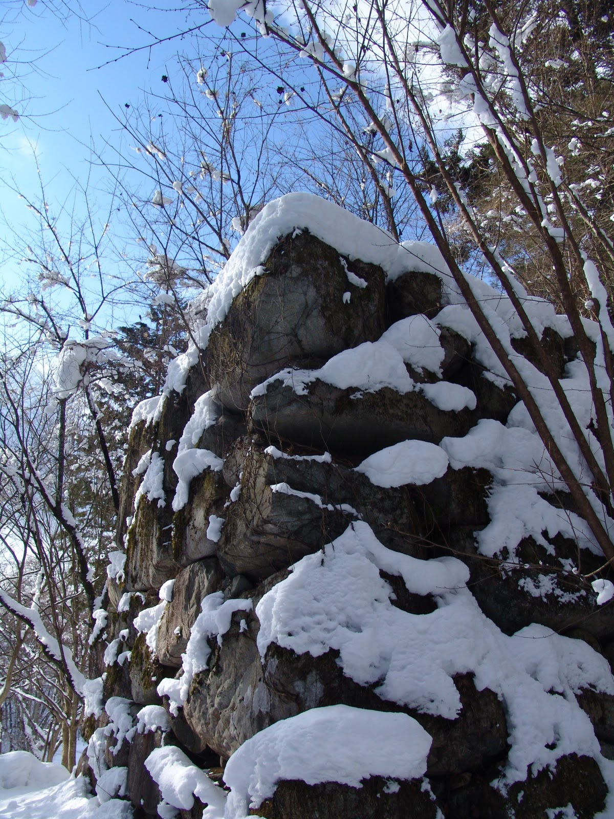 Japanese Obsession: Takayama Part 6 - Shiroyama Park and Takayama Castle