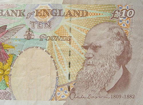 Mrs Middletons Tales from The Bookroom: The Origin of the £10 note Species