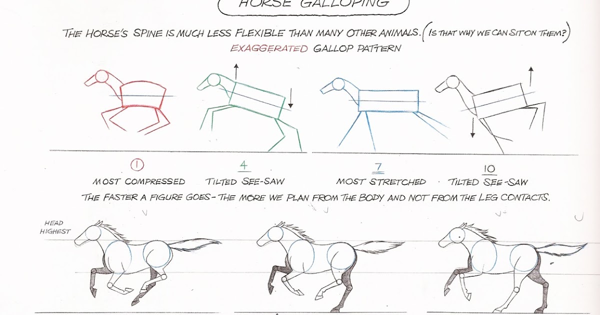 The Advanced Animation Skills Workshop: The Quadruped Run Cycle: week 2