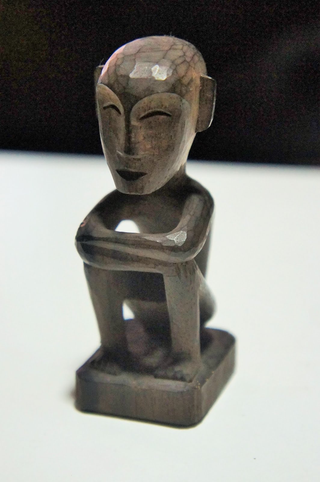 OUR PHILIPPINE TREES: My Small Cordillera Collection