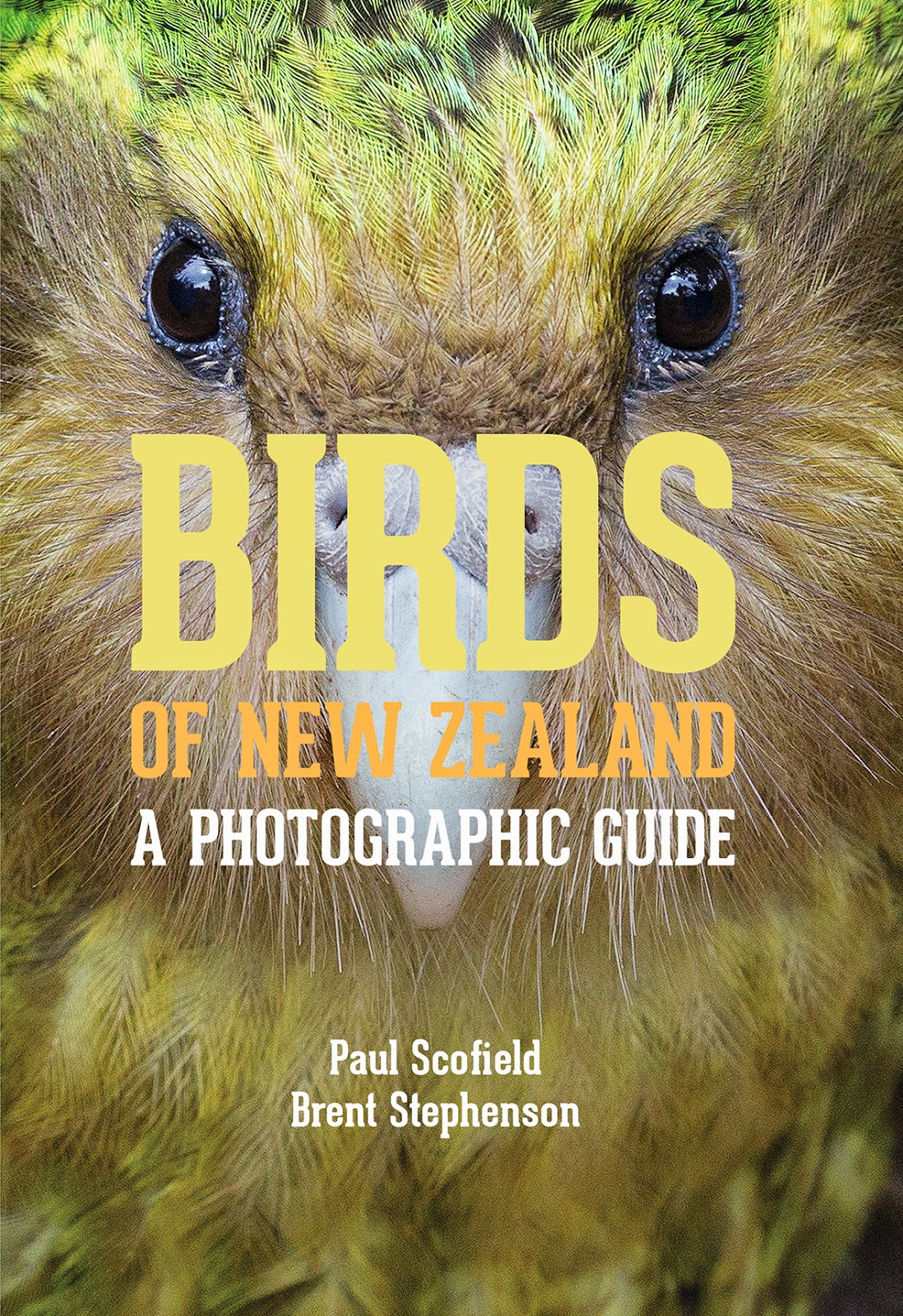 sconzani: Birds of New Zealand: part one
