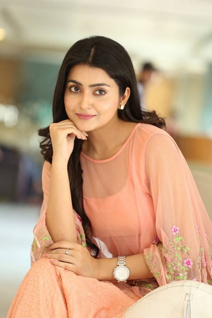 Avantika At Vaisakham Movie Success Meet Stills