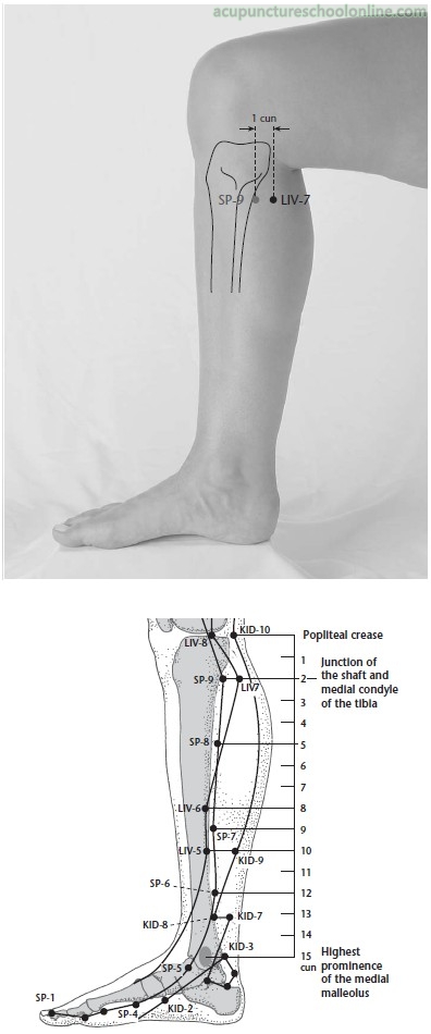 Jarum Sakti: Meridian Jue Yin Kaki/Liver
