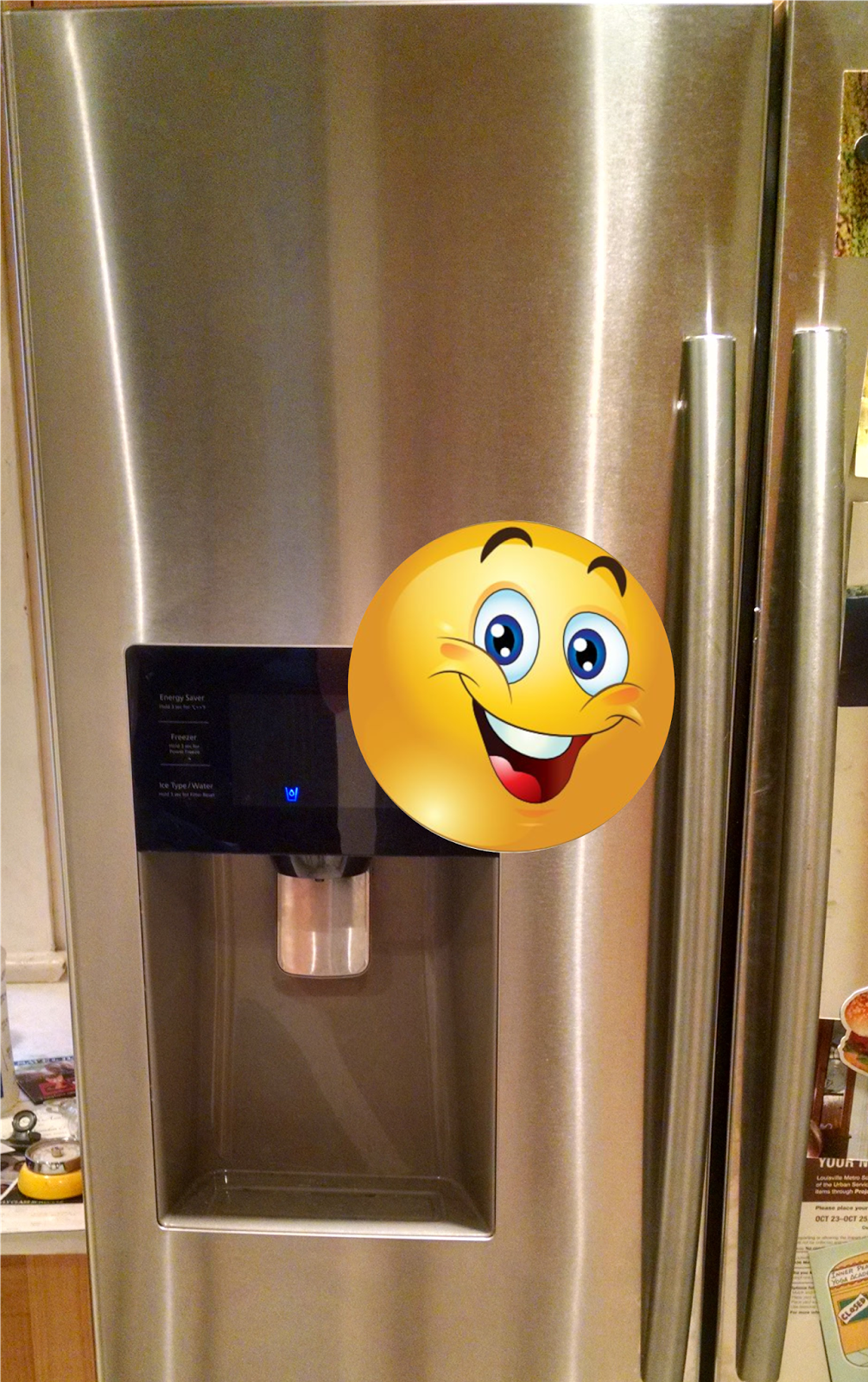 Hog Wild Home: Make Stainless Steel Appliances Shine