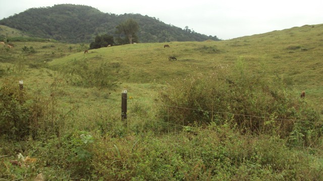 paisagens naturais de itagi-ba | Itagi-bahia