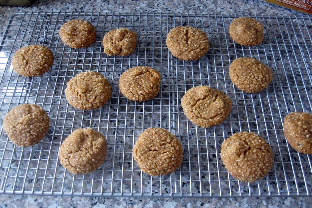 Happy Go Marni: Exotic Spice Cookies with Ginger, Cardamom and Rose ...