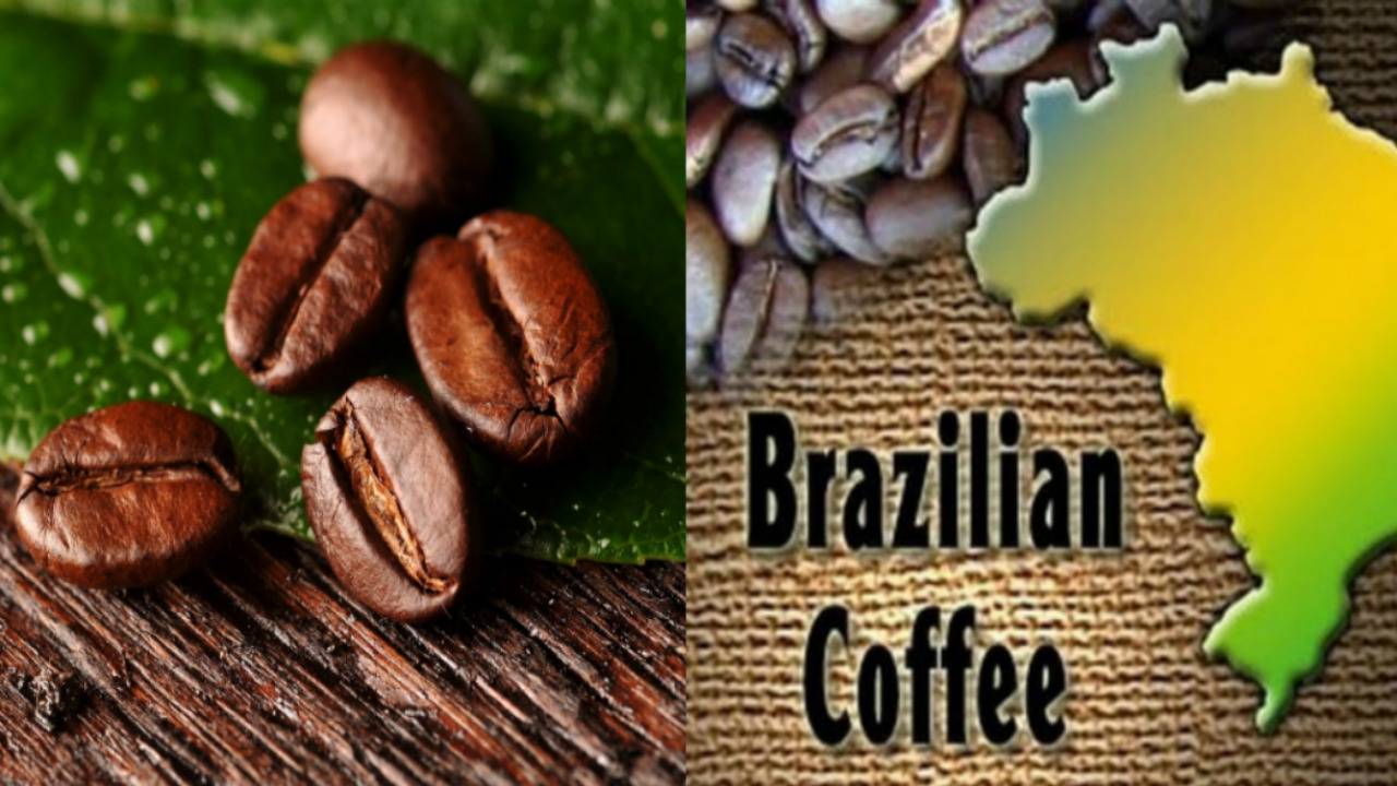 Bean and Leaf - kafa i čaj: Zanimljivosti o kafi koje sigurno niste znali