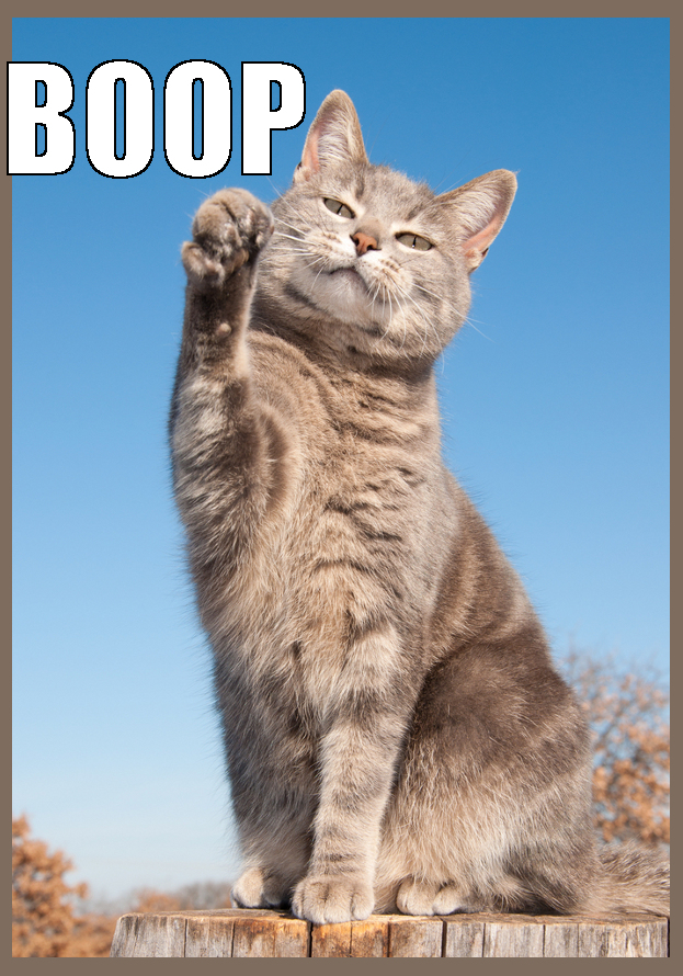 Great Cats Be Funny BLOG