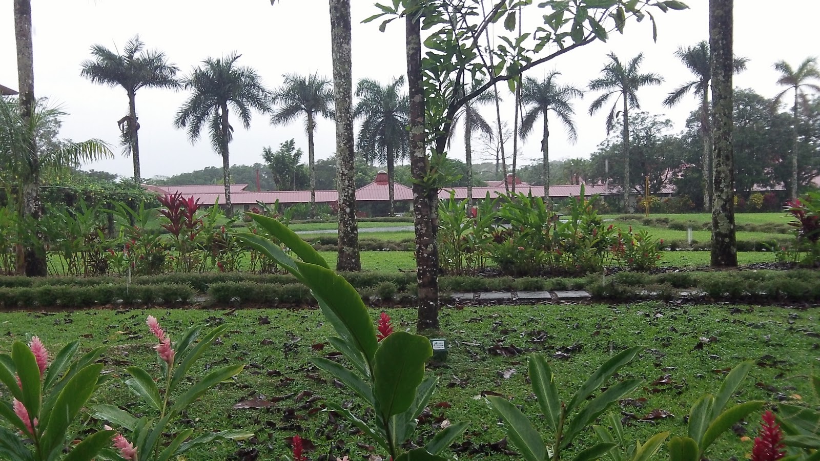 Mr Palmer's Costa Rican Adventure: Earth University