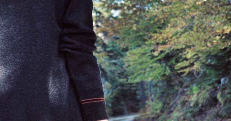 Promenade en forêt et cueillettes d'automne | Louise Grenadine - blog ...