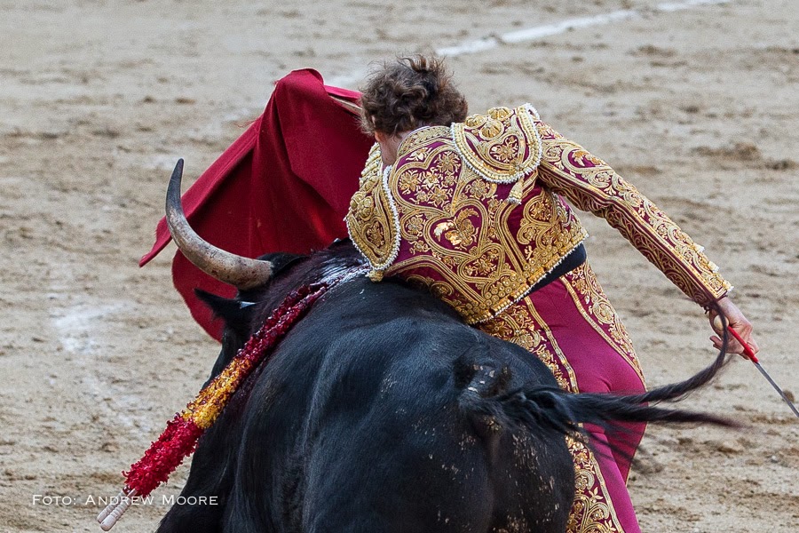 Del toro al infinito: 3ª "SAN ISIDRO: ROMÁN TIENE FUTURO / Por Domingo ...