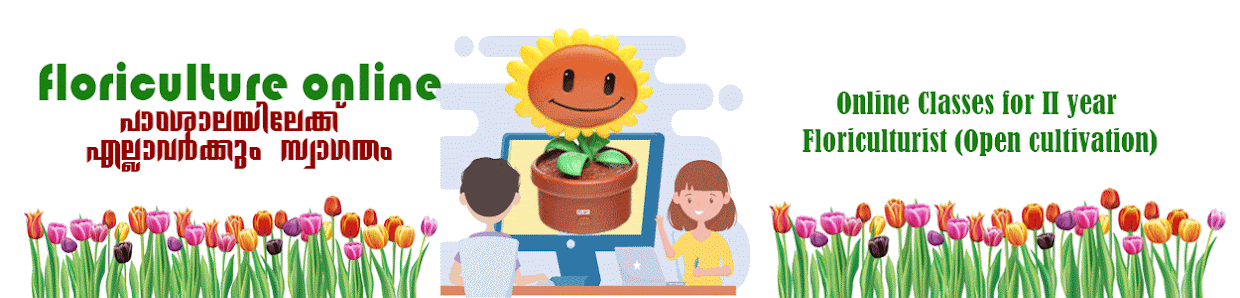 FLORICULTURIST(OC) - II YEAR: FLORICULTURIST (OPEN CULTIVATION ...